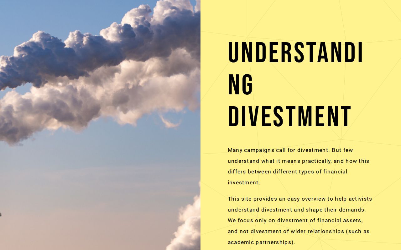 Understanding divestment